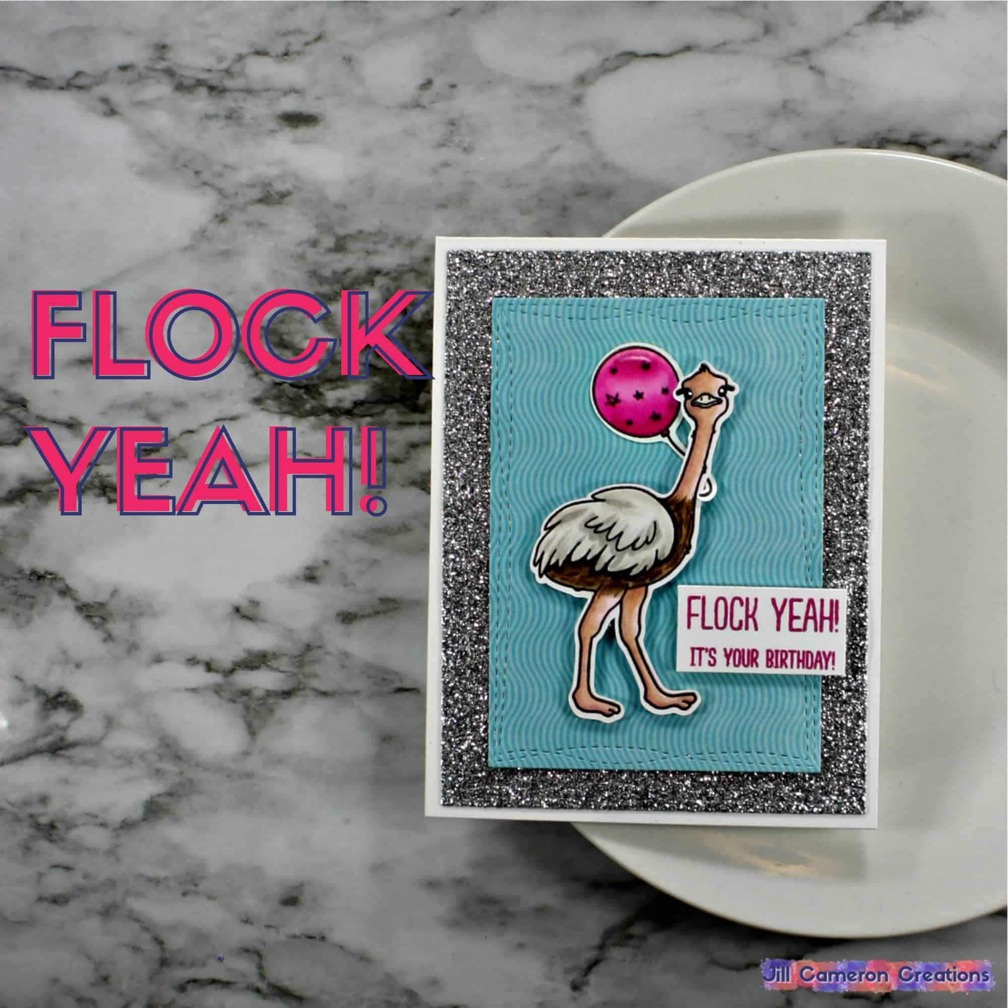 WPlus9 Flock Yeah Birthday Card – Jill Cameron Creations